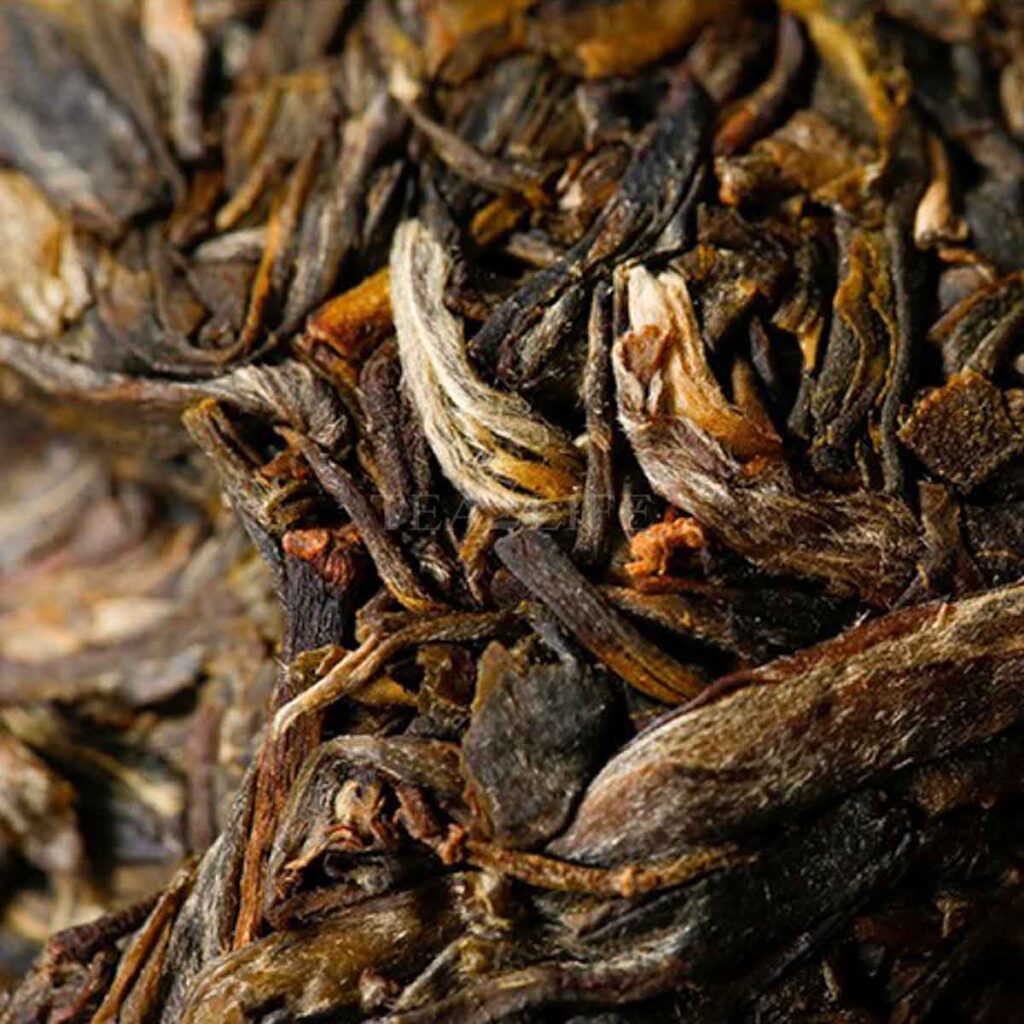 Raw Pu'er Xiaguan Tuo Tea - Tea2Life