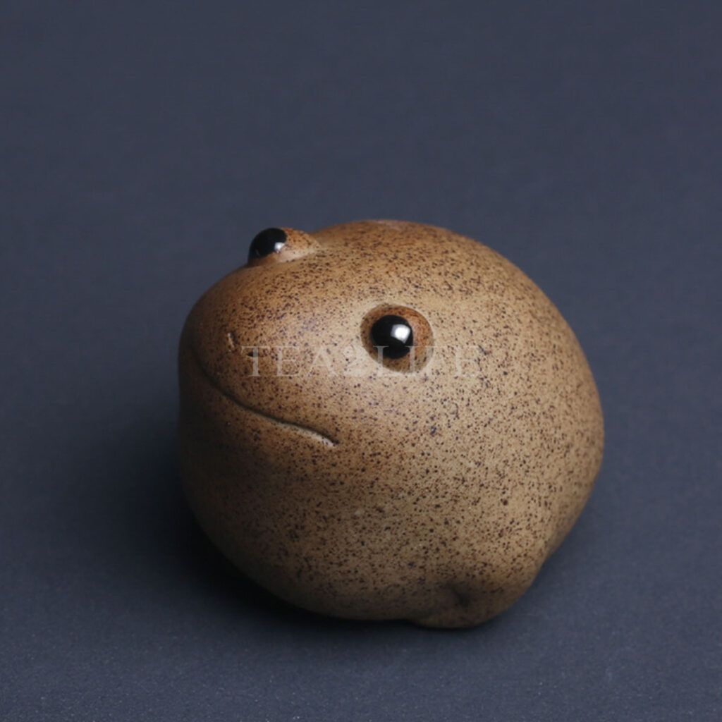 Big-eyed Golden Toad - Tea2Life